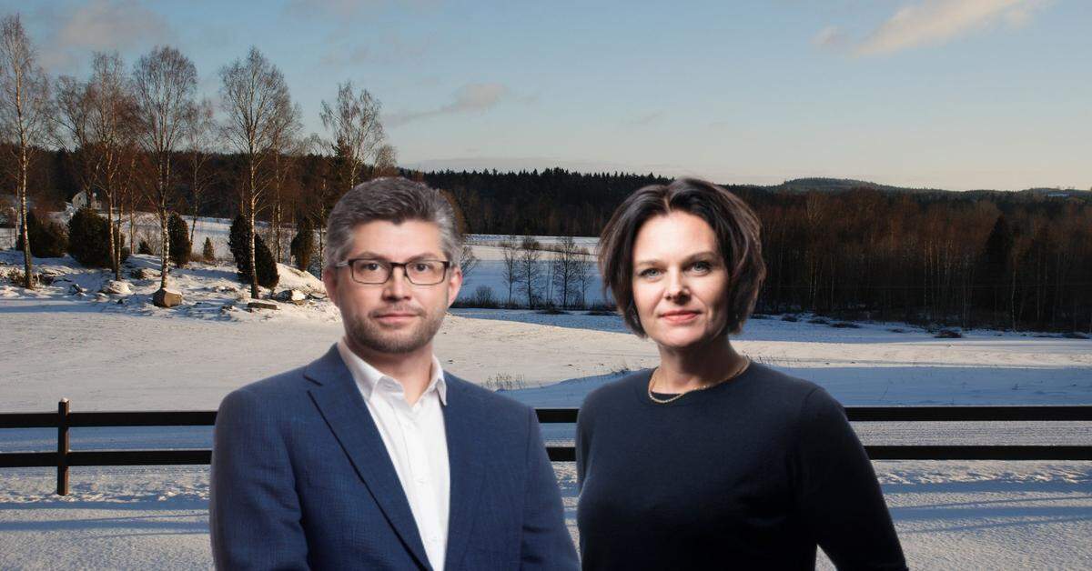 Sverige behöver visioner